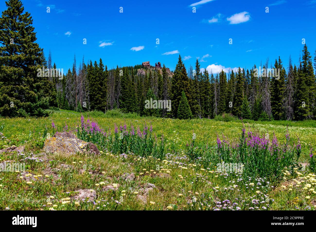 Rabbit ears formation hi-res stock photography and images - Alamy