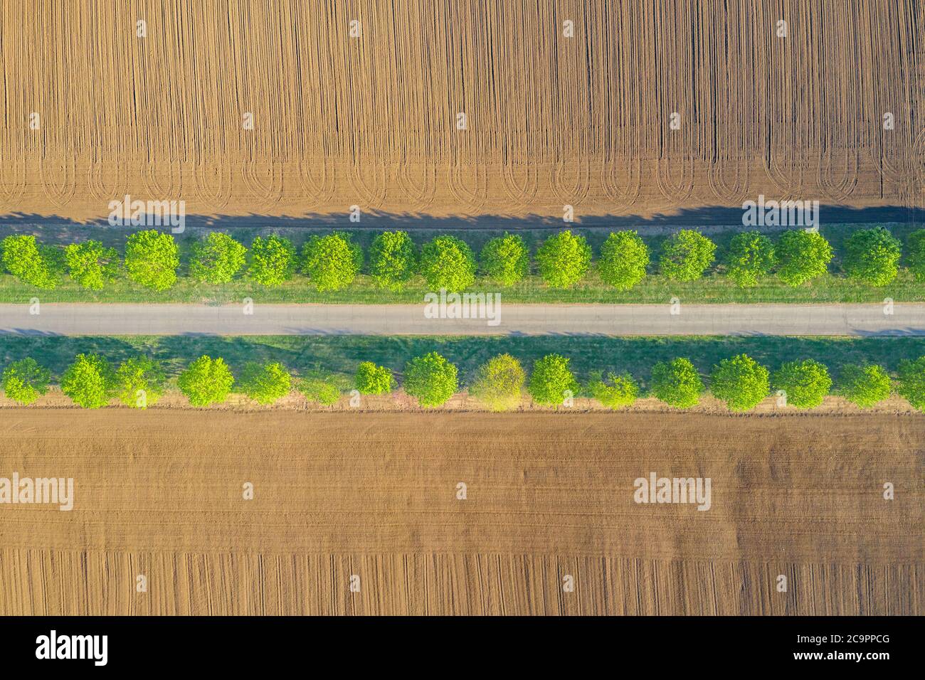 Rural landscape with fields. Aerial view rows of soil before planting ...