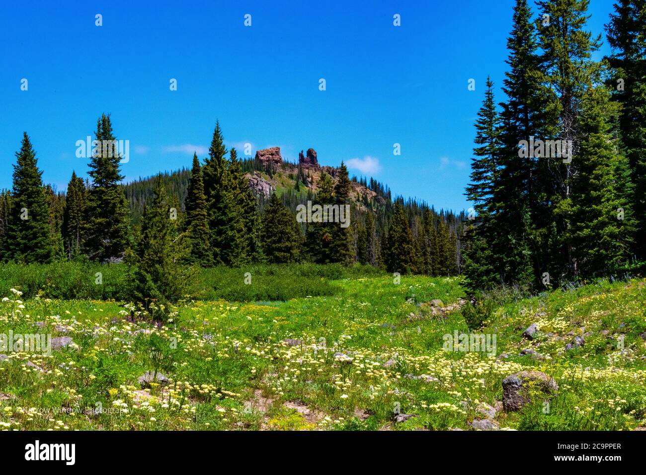 Rabbit ears formation hi-res stock photography and images - Alamy