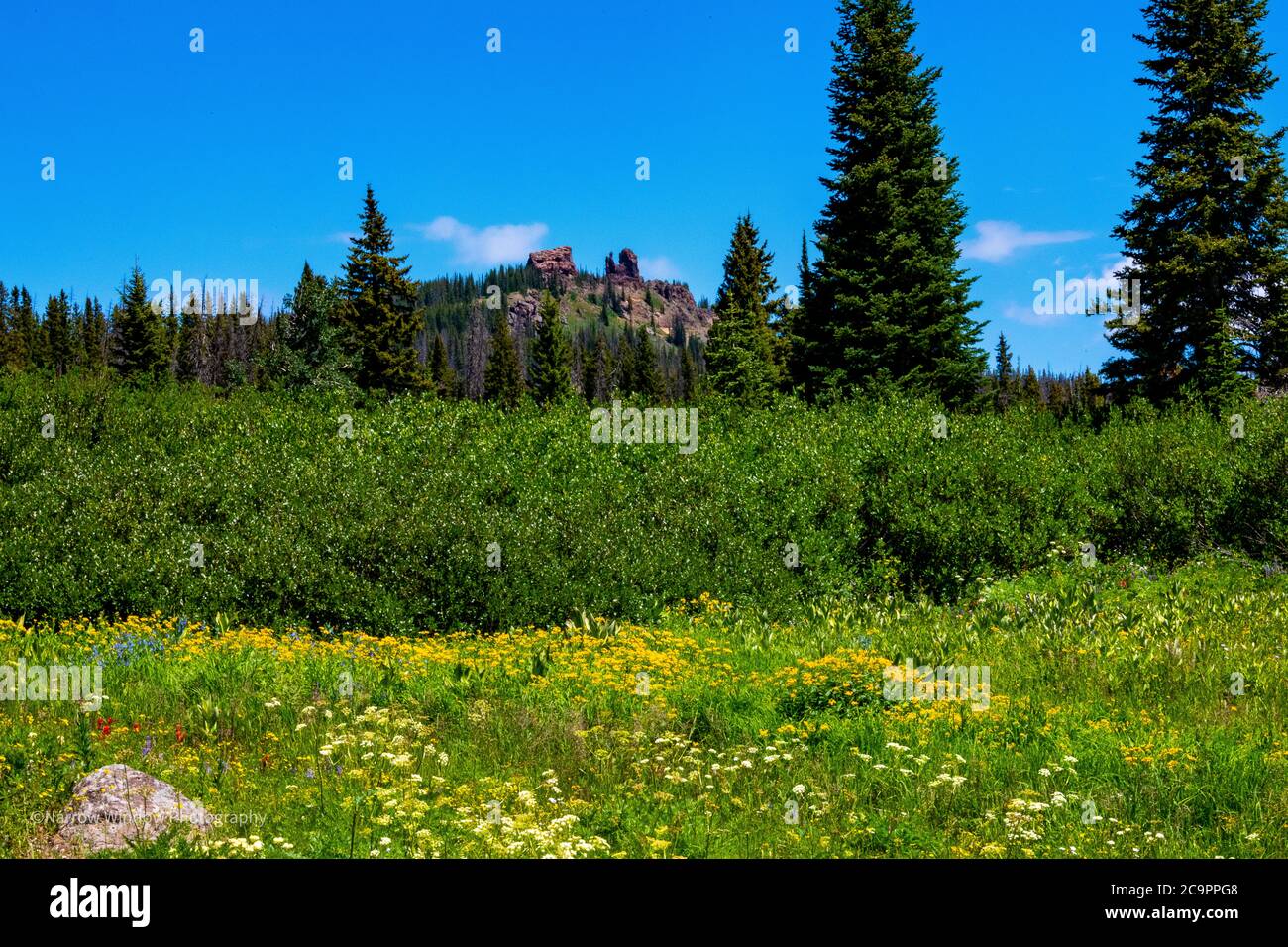 Rabbit ears formation hi-res stock photography and images - Alamy
