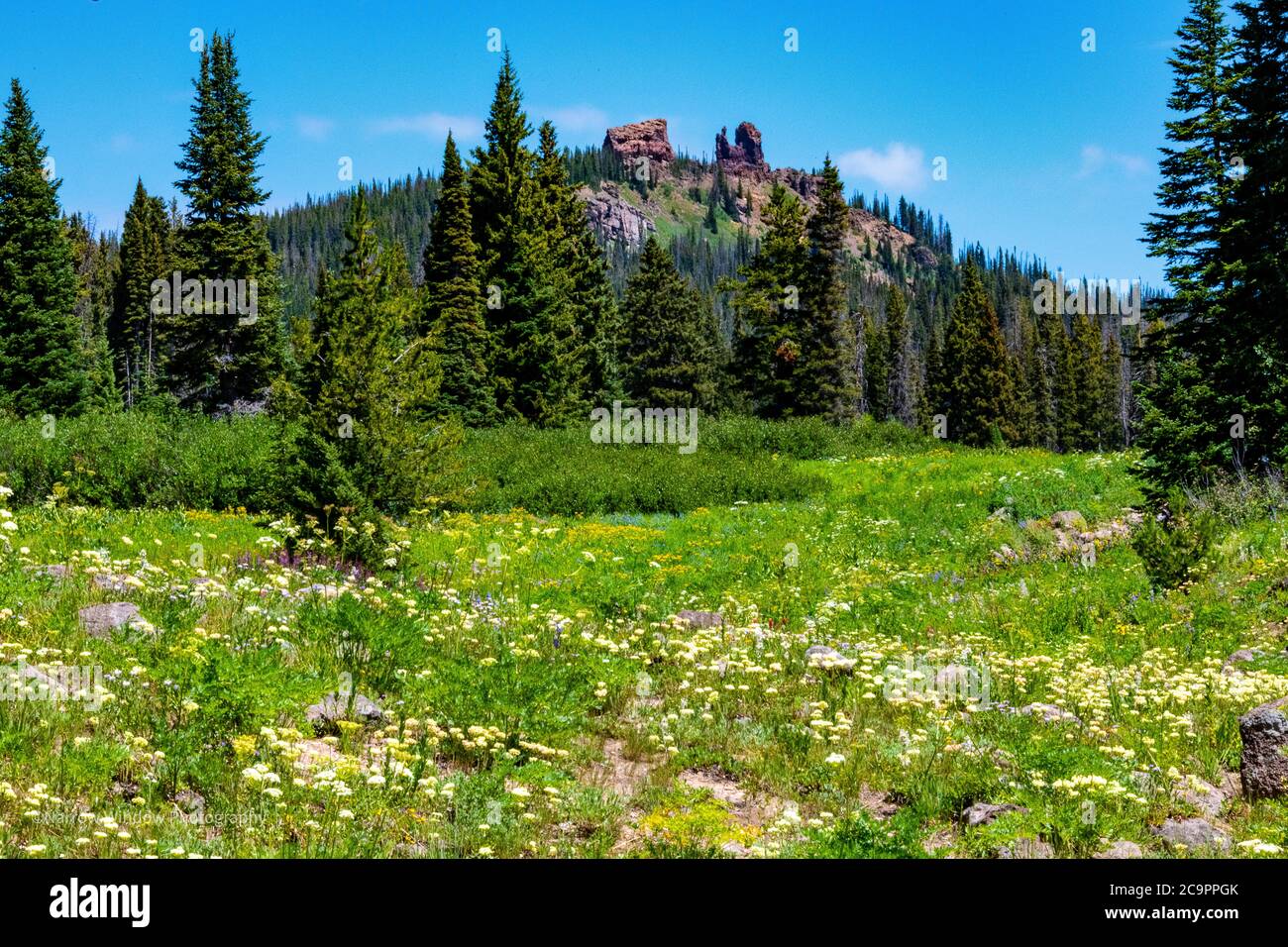 Rabbit ears formation hi-res stock photography and images - Alamy
