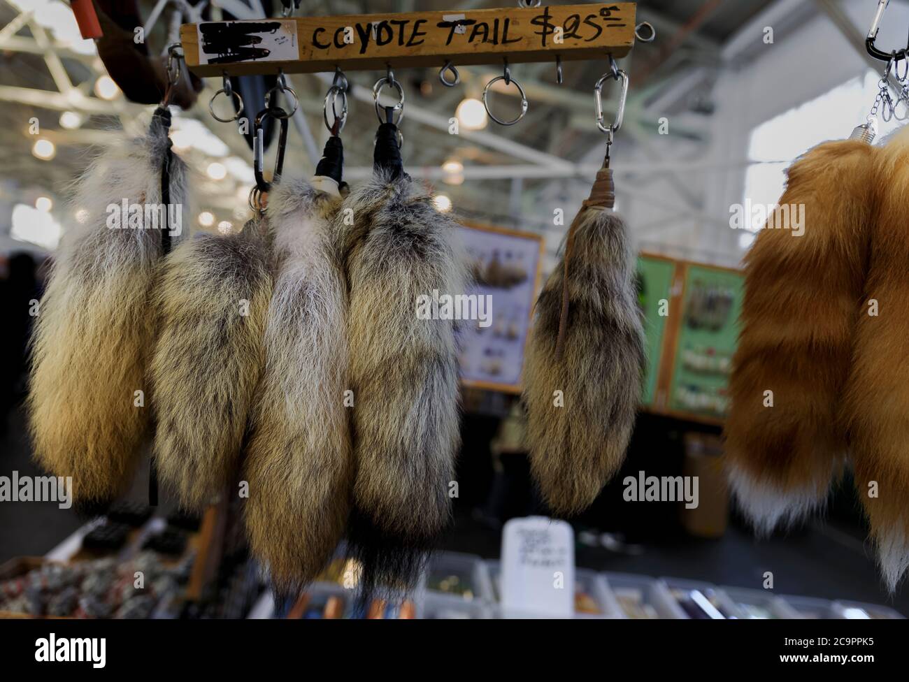 Native American Indian dance regalia real coyote and fox fur tails on ...