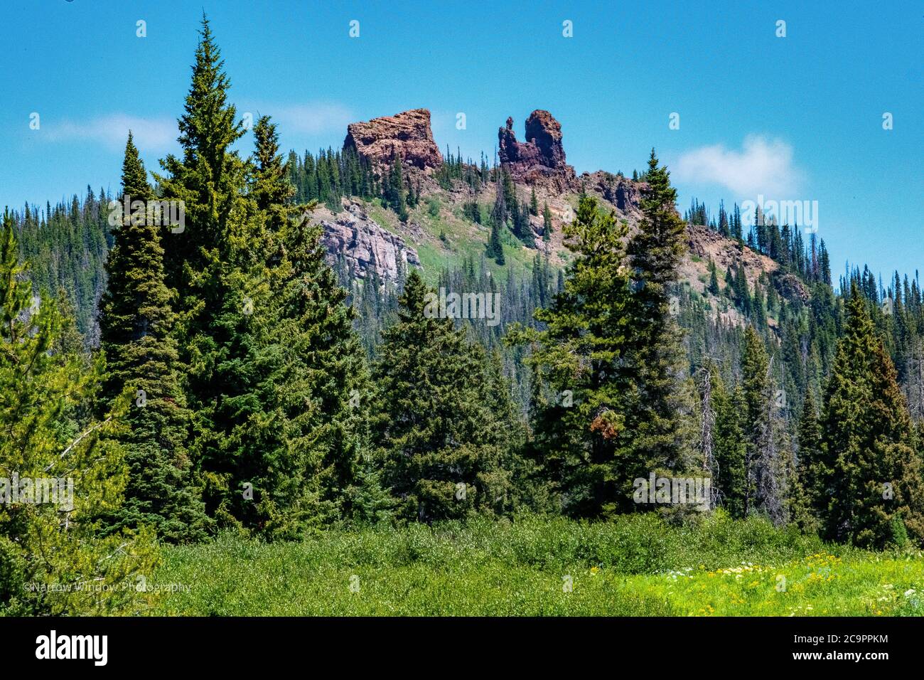 Wildflowers and Rabbit Ears Rock Formation Stock Photo - Alamy