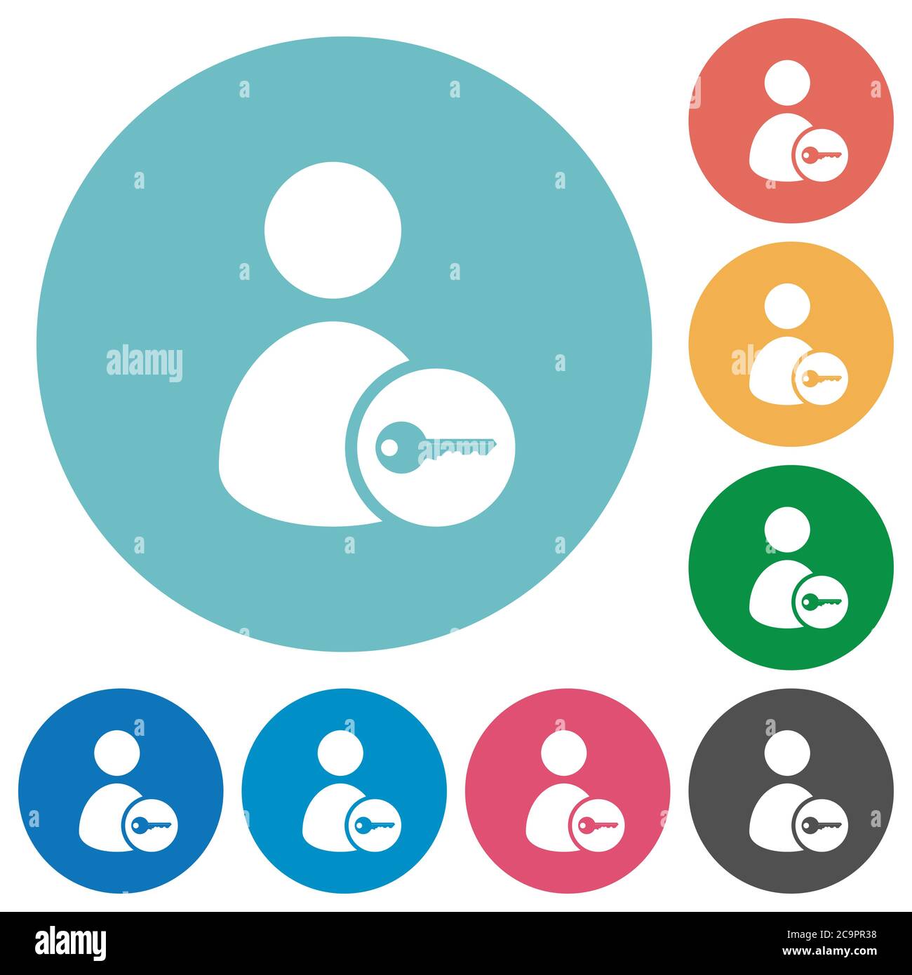 Secure user account flat white icons on round color backgrounds Stock ...