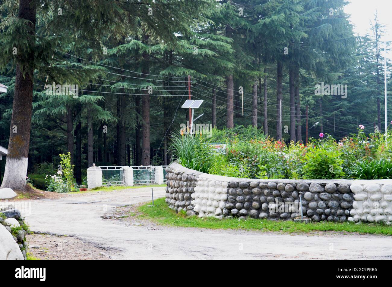 A concrete road boundary wall made of stones tall trees with green ...