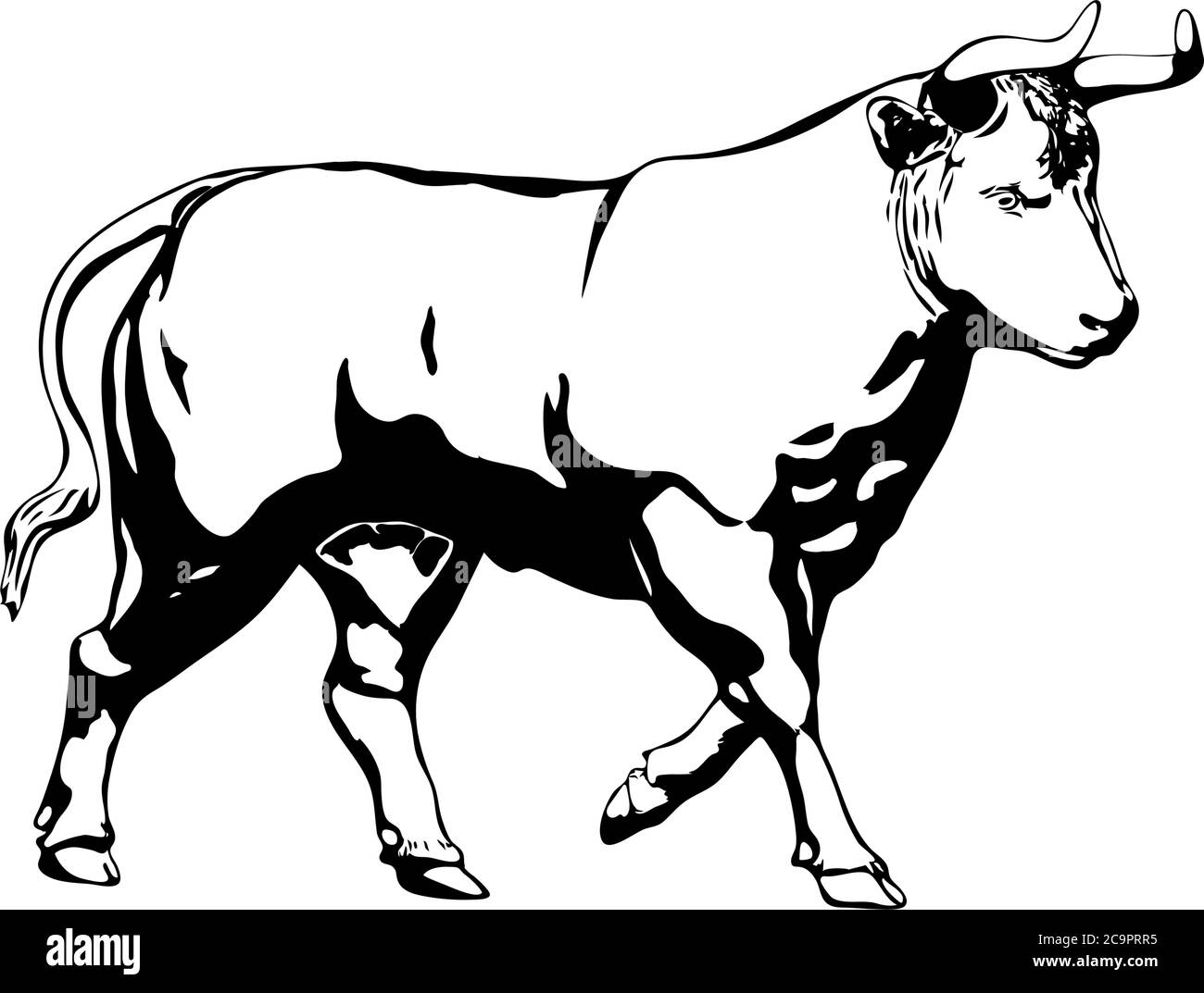 Bull sketch hi-res stock photography and images - Alamy