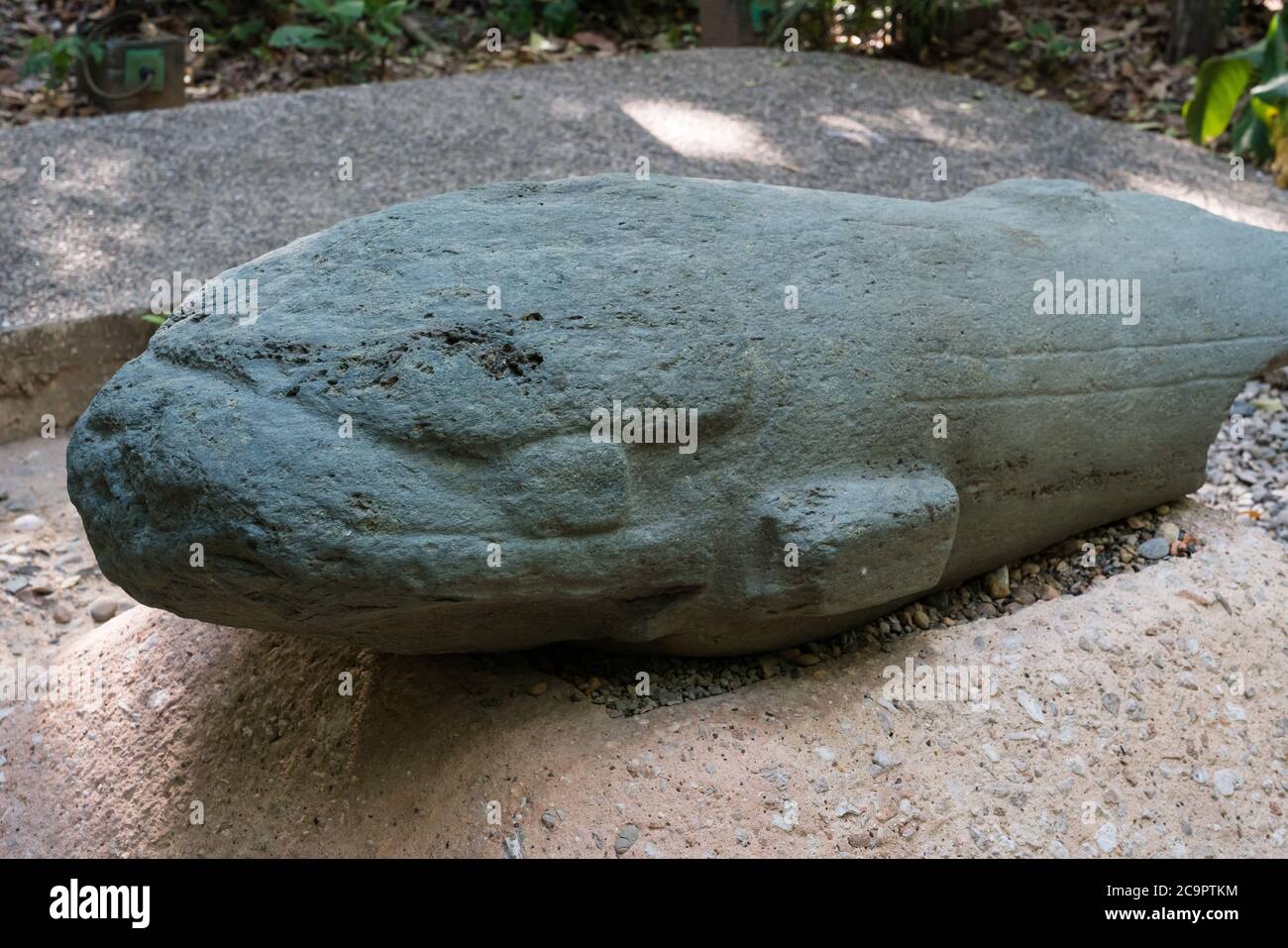 The Cetacean, Monument 20, from the Olmec ruins of La Venta. Preclassic ...