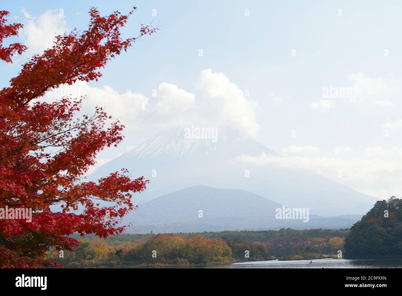 Mount fuji autumn maple leaves hi-res stock photography and images - Alamy