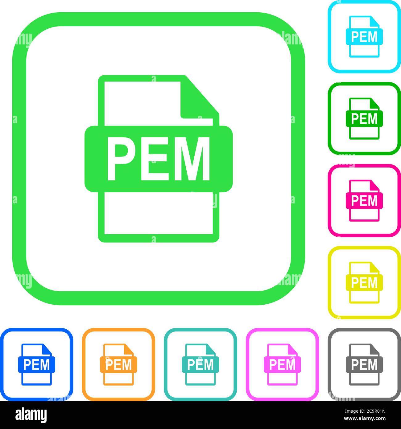 PEM file format vivid colored flat icons in curved borders on white ...