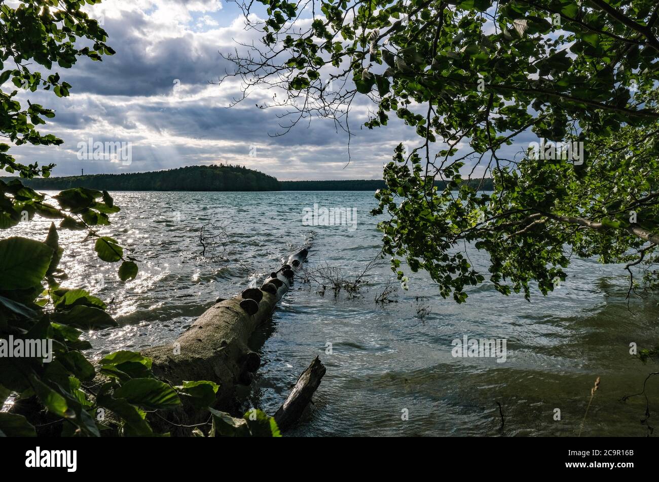 Neuglobsow, Germany. 29th July, 2020. The Großer Stechlinsee in the ...