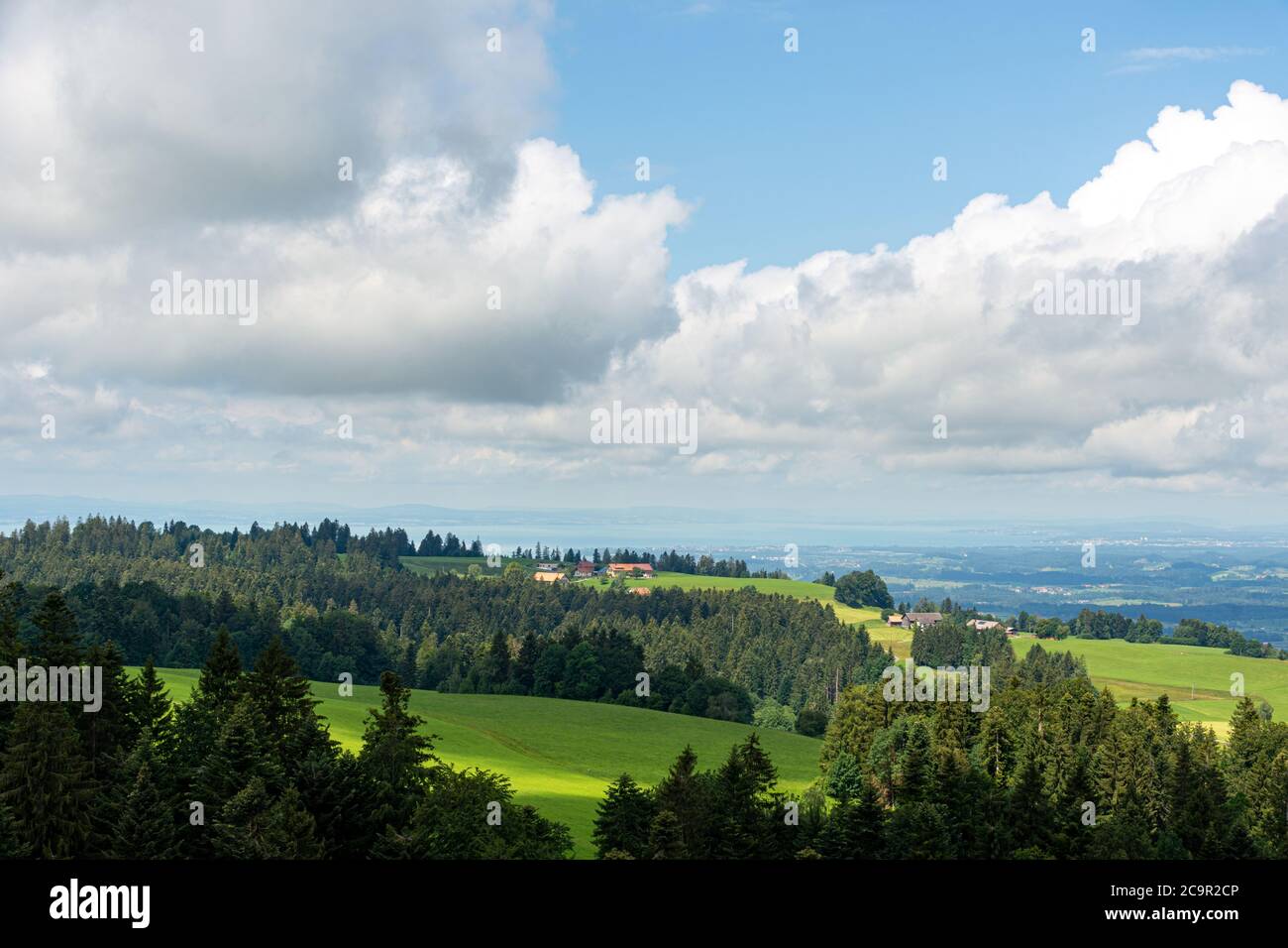 View of Lake Constance from tree top walk in Scheidegg, Germany Stock ...
