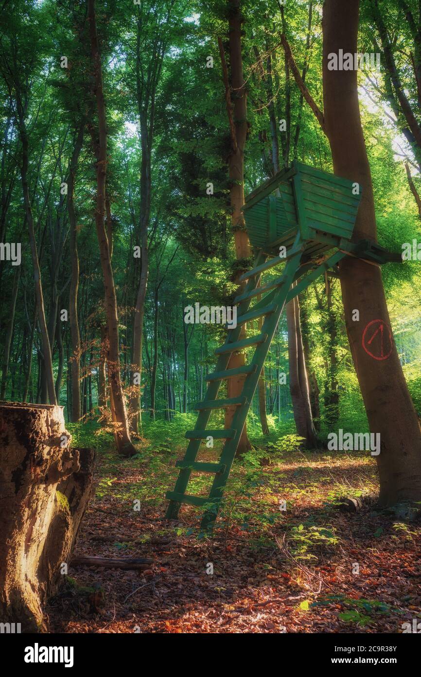 Hunt seat hi-res stock photography and images - Alamy