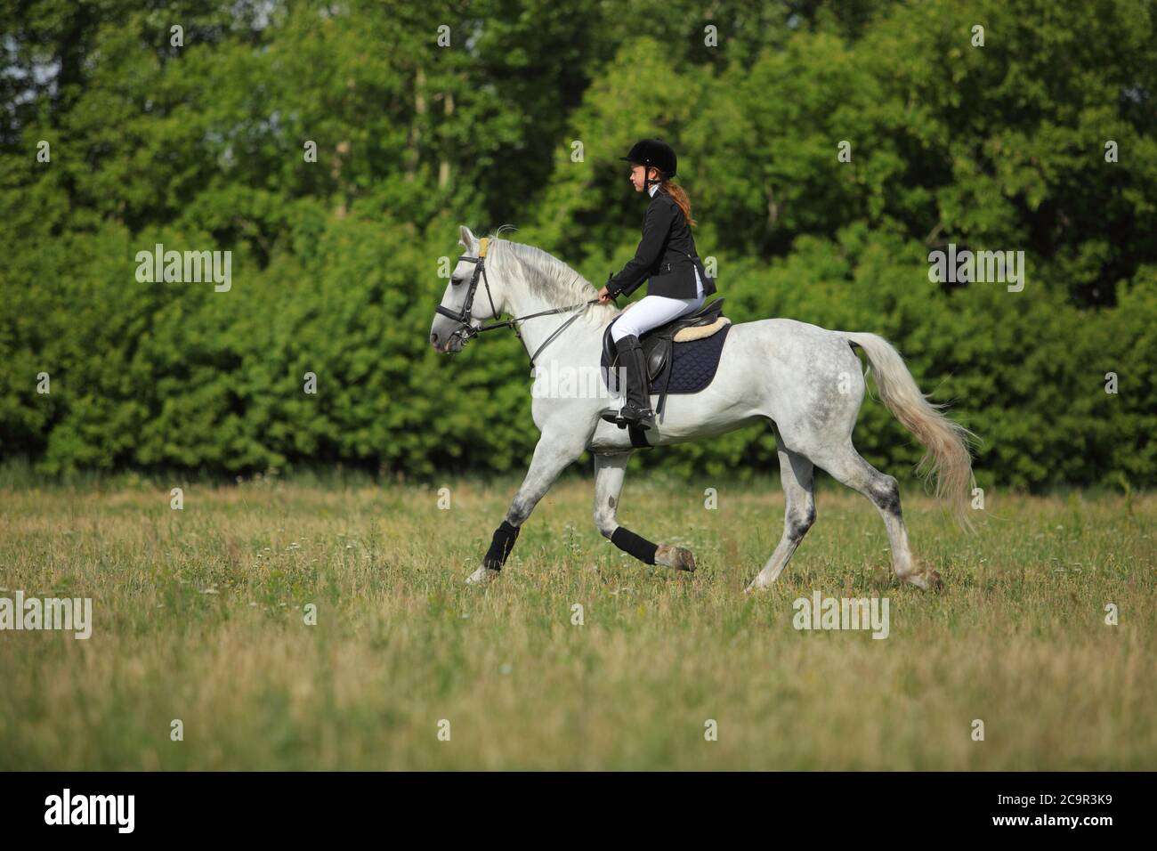 Cowgirl training her horse hi-res stock photography and images - Alamy