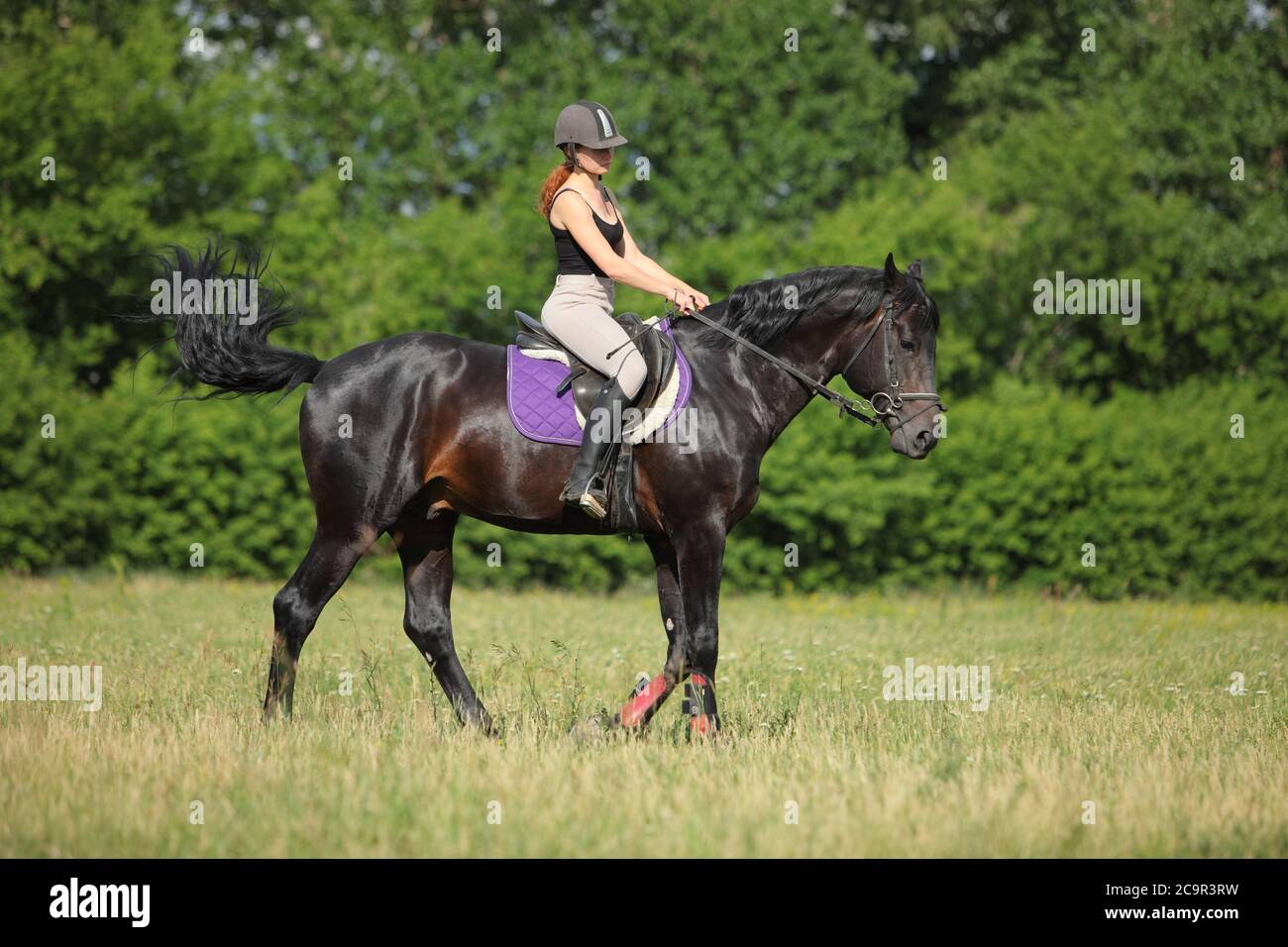 Equestrian model girl riding sportive dressage horse in summer fields ...