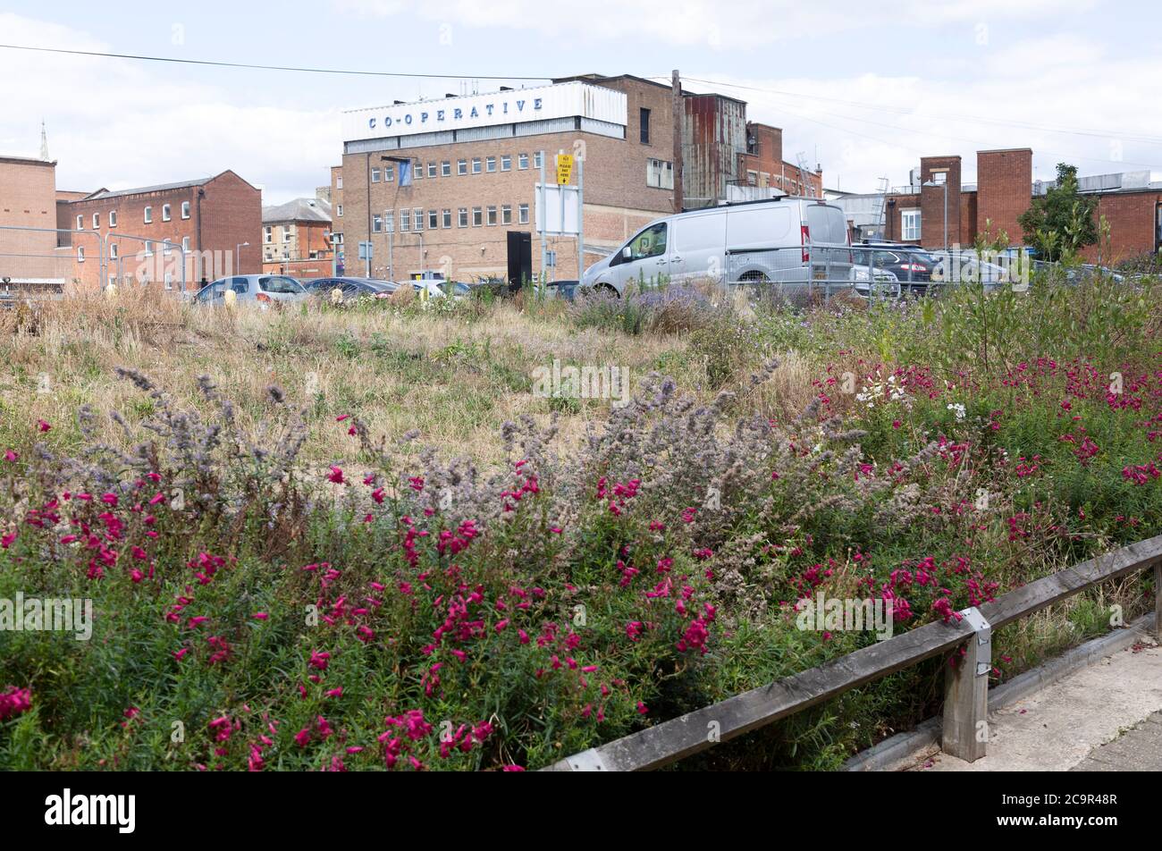 Unused waste ground hi-res stock photography and images - Alamy
