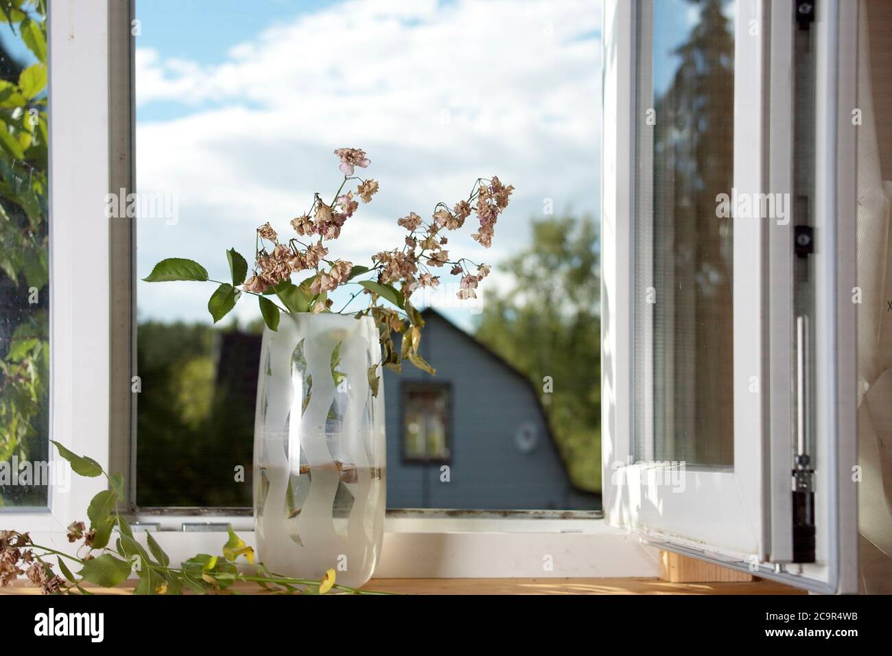Open window with a bouquet on the sill, indoor still life Stock Photo ...