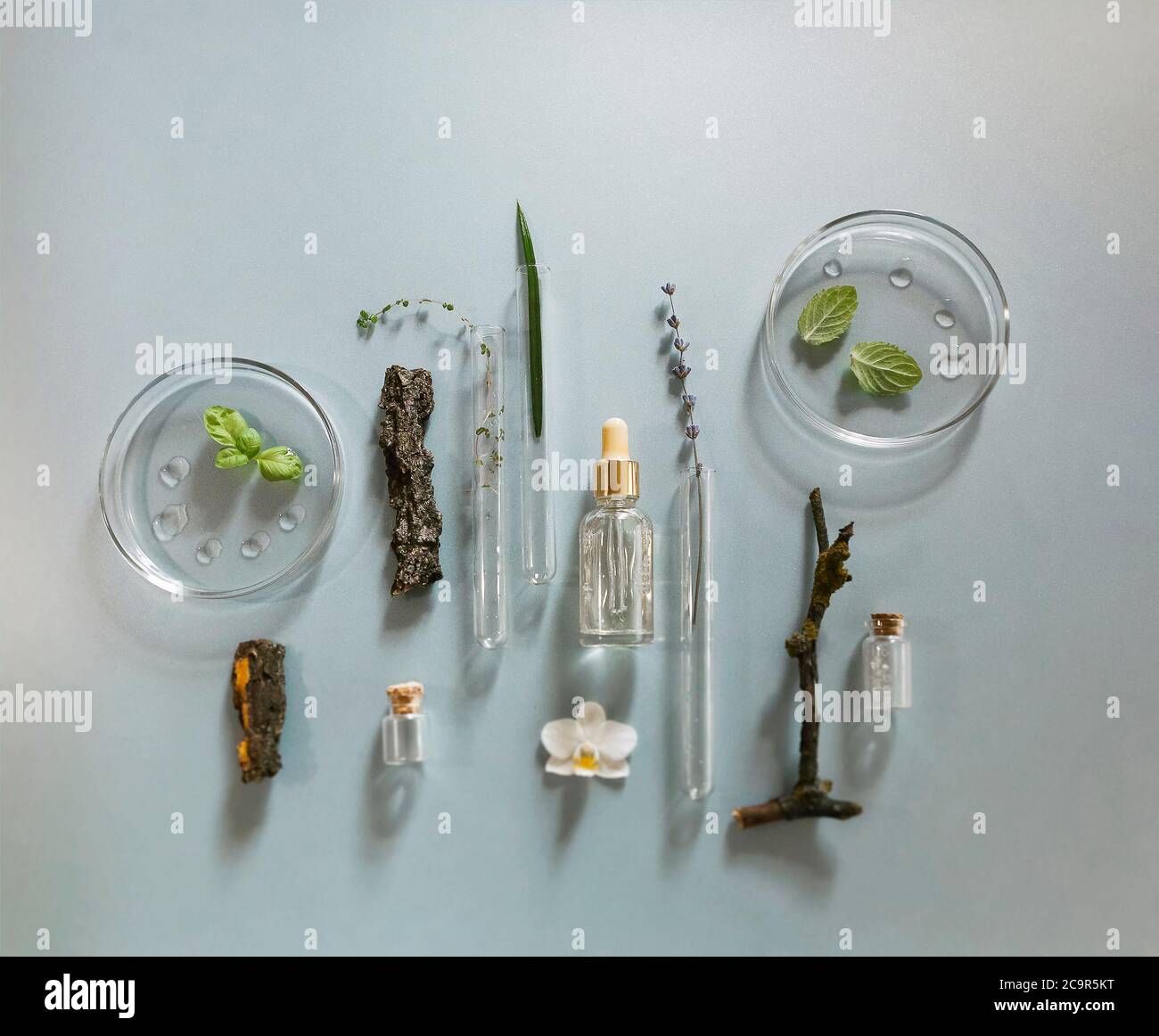 Organic water bottles hi-res stock photography and images - Alamy