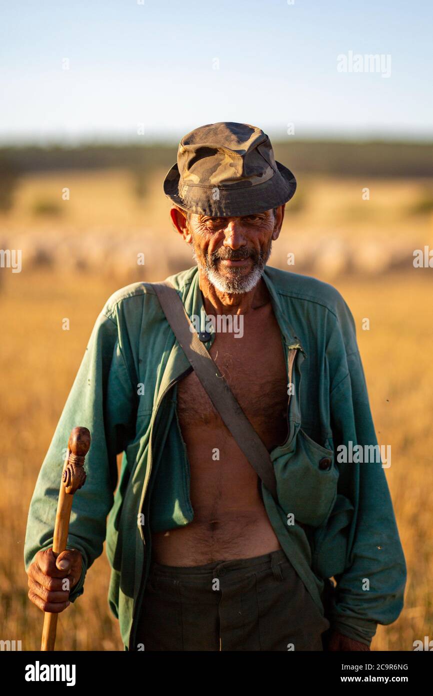 Hungarian Shepherd Dog High Resolution Stock Photography and Images - Alamy