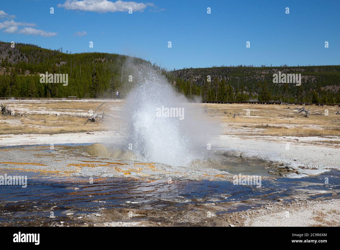 Yellowstone river steam vent hi-res stock photography and images - Alamy