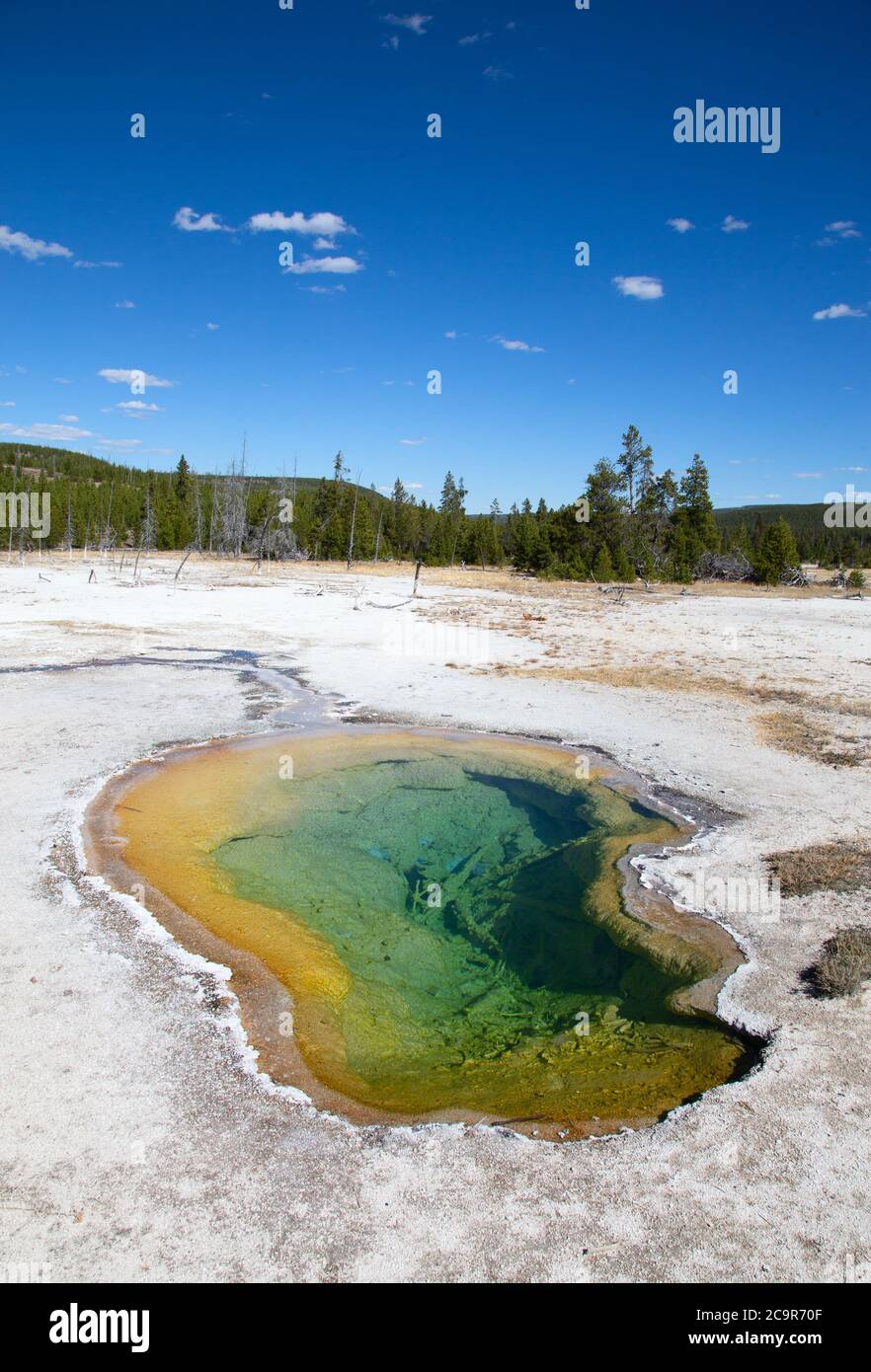 Colorful hot water pool in the Yellowstone National park, USA Stock ...