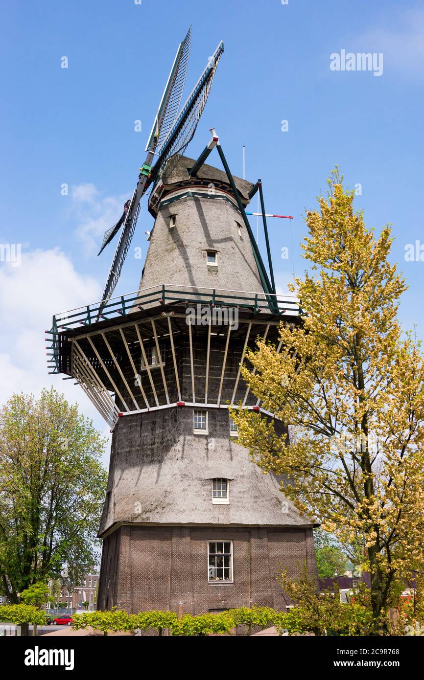 Tallest wooden windmill hi-res stock photography and images - Alamy