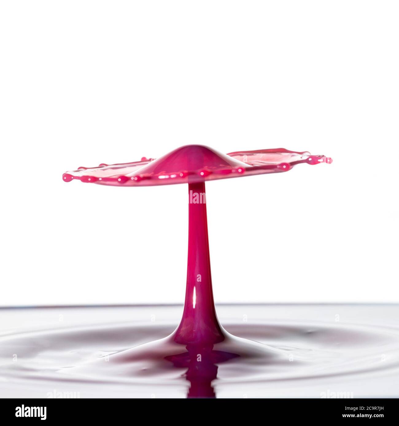 Stunning unique abstract water splash photography images with vibrant ...