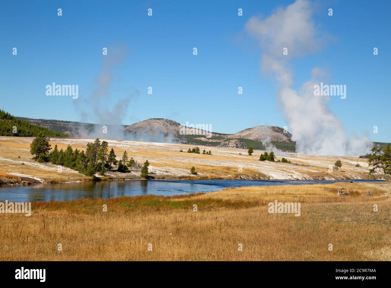 Lower geyser basin in the Yellowstone National park, USA Stock Photo ...