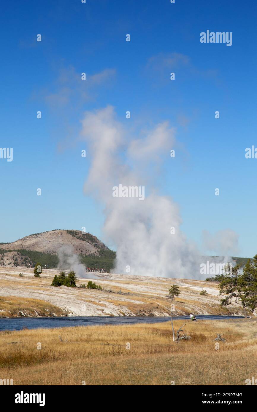 Lower geyser basin in the Yellowstone National park, USA Stock Photo ...