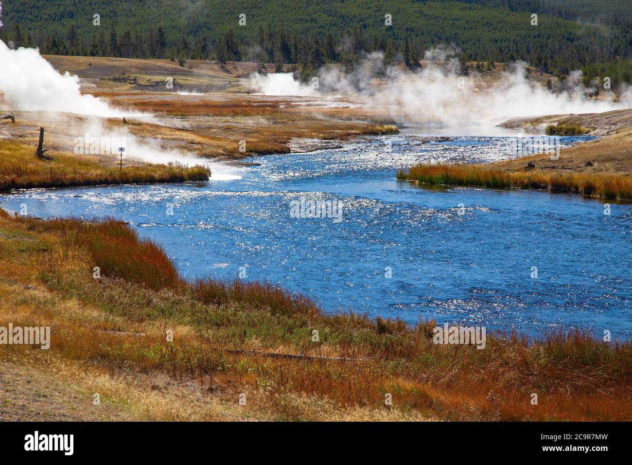 Lower geyser basin in the Yellowstone National park, USA Stock Photo ...
