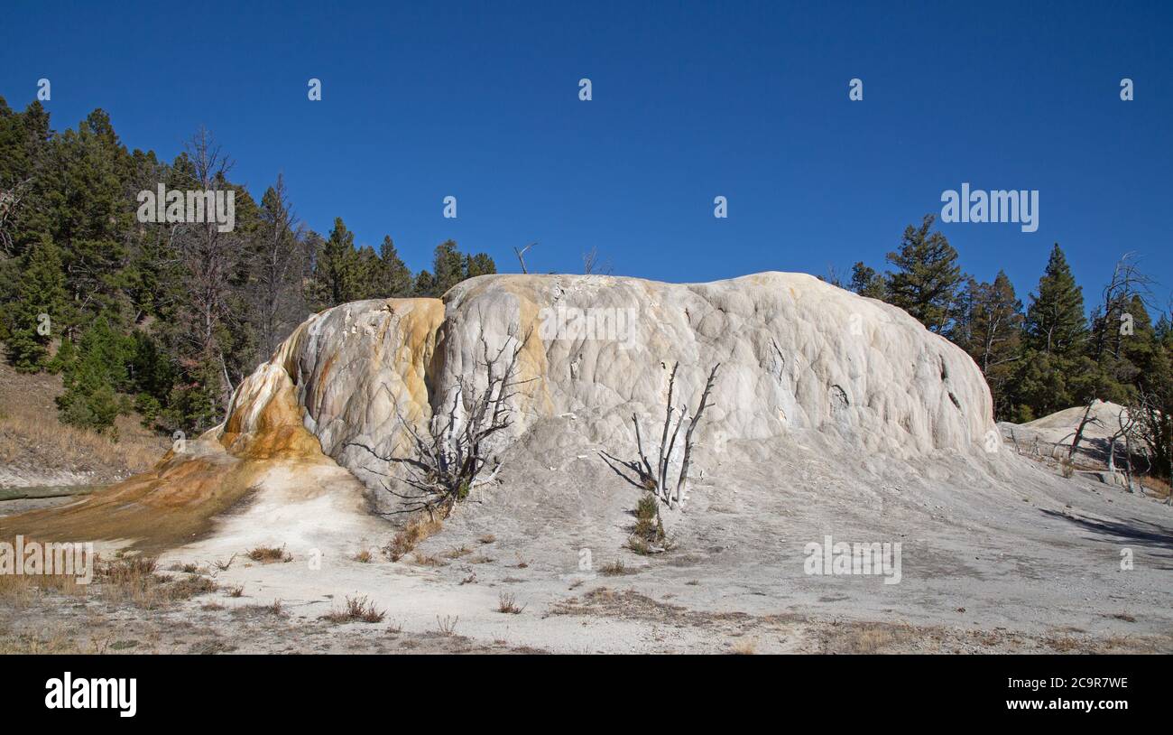 Mammoth hot springs in the Yellowstone National Park, Wyoming, USA ...