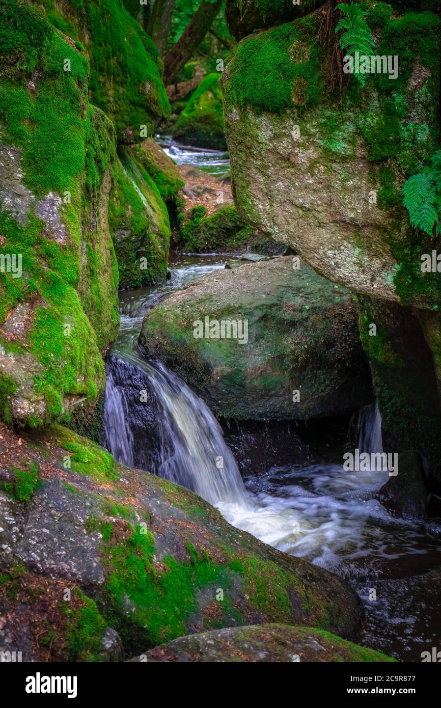 Hiking through the Hell. Höllbachtal near Rettenbach in the bavarian ...