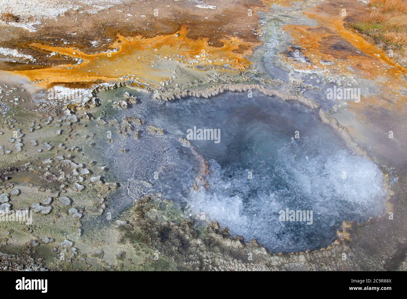 Colorful hot water pool in the Yellowstone National park, USA Stock ...