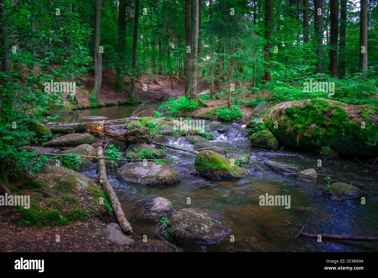 Hiking through the Hell. Höllbachtal near Rettenbach in the bavarian ...