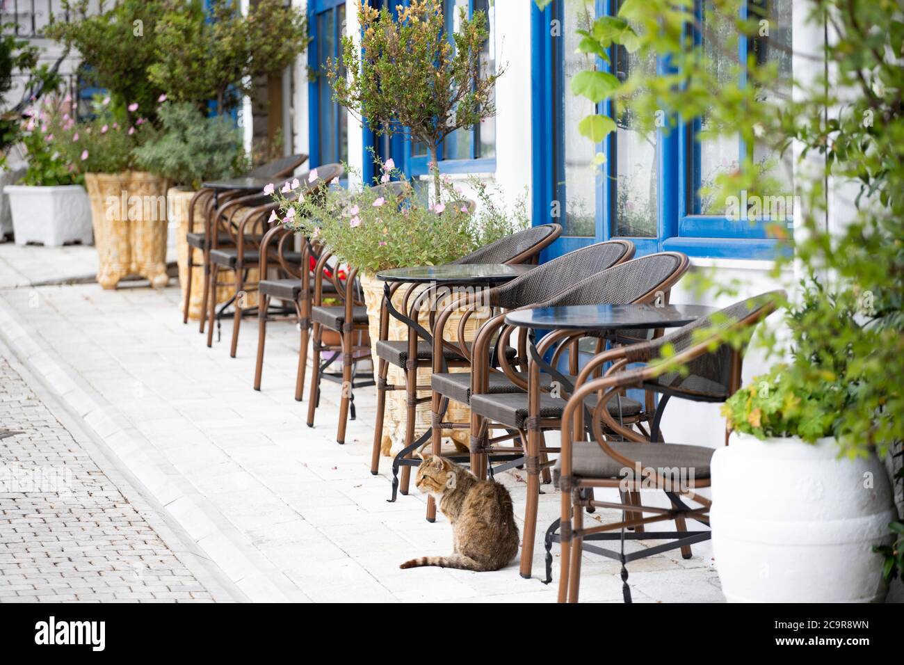 Mediterranean restaurant terrace exterior with chairs. Holiday travel ...