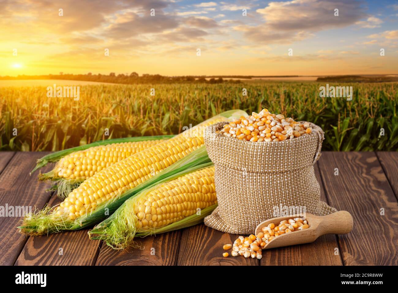 Corn seed bag hi-res stock photography and images - Alamy