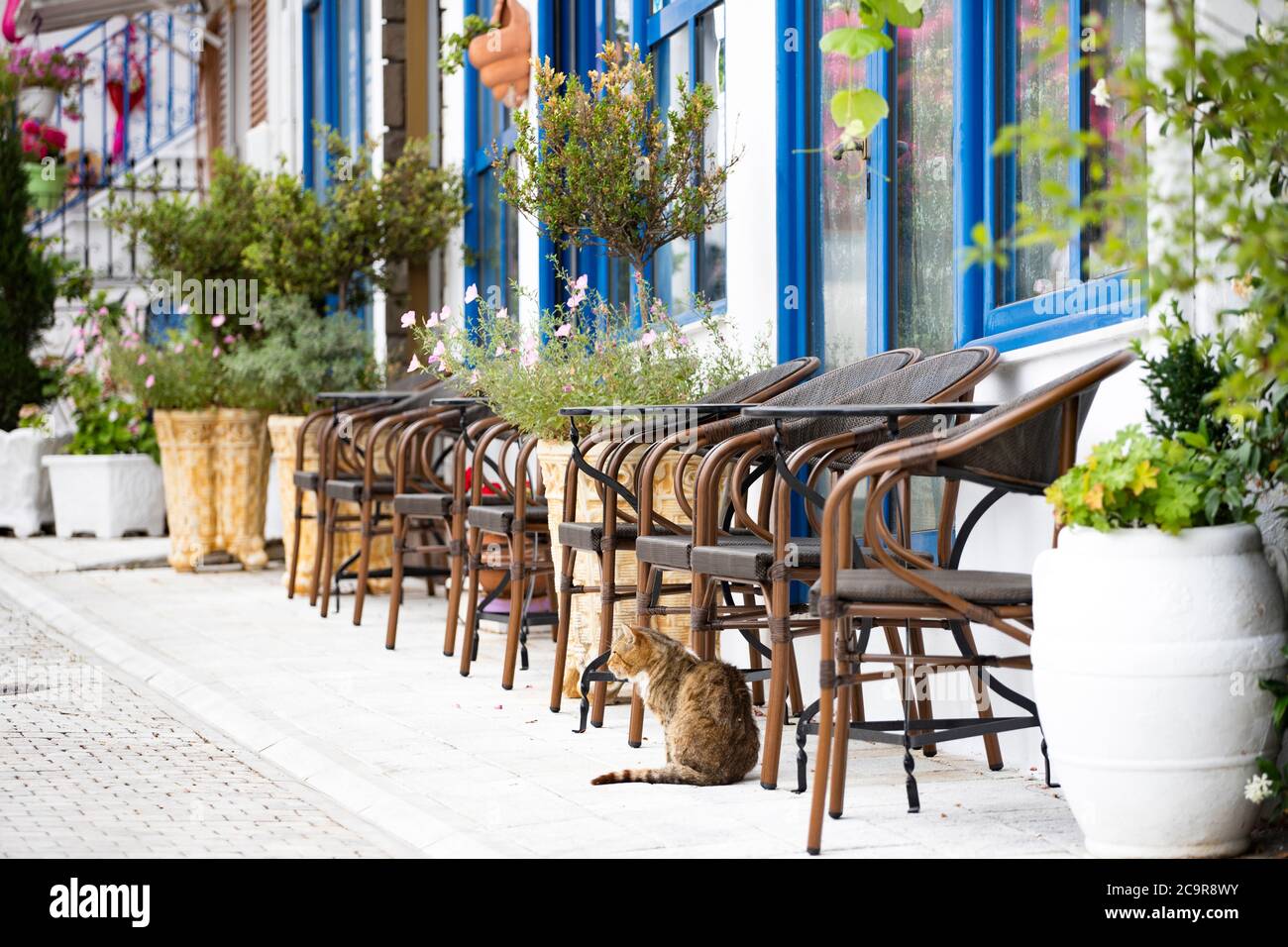 Mediterranean restaurant terrace exterior with chairs. Holiday travel ...