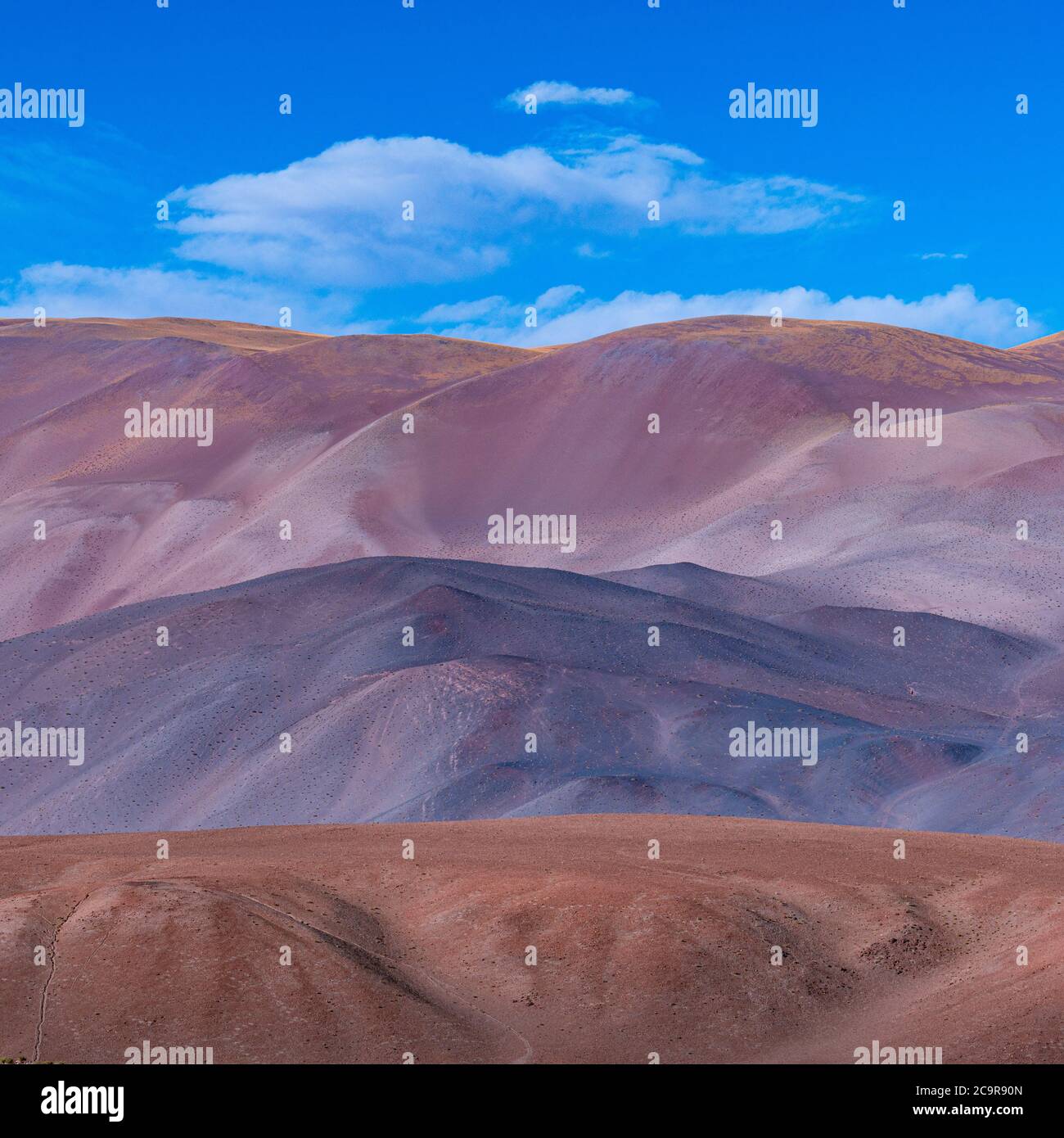Desert landscape in the Salar de Arizaro, La Puna, Argentina, South ...