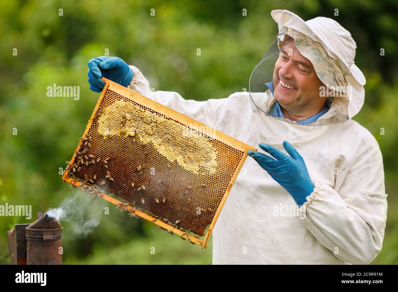 Bee smoker beekeeper apiary hi-res stock photography and images - Alamy