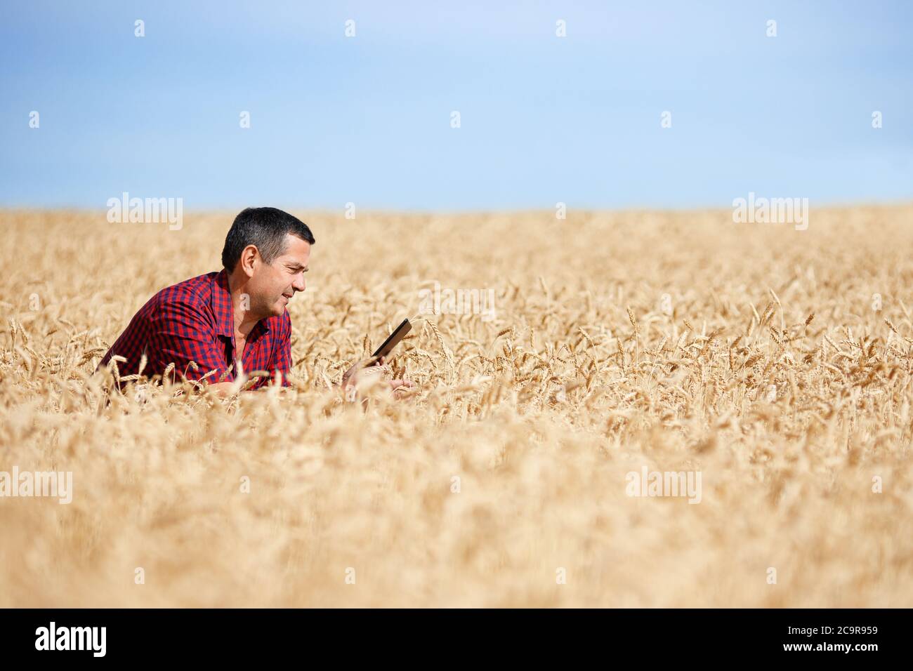 Countryside crop agronomist man hi-res stock photography and images - Alamy
