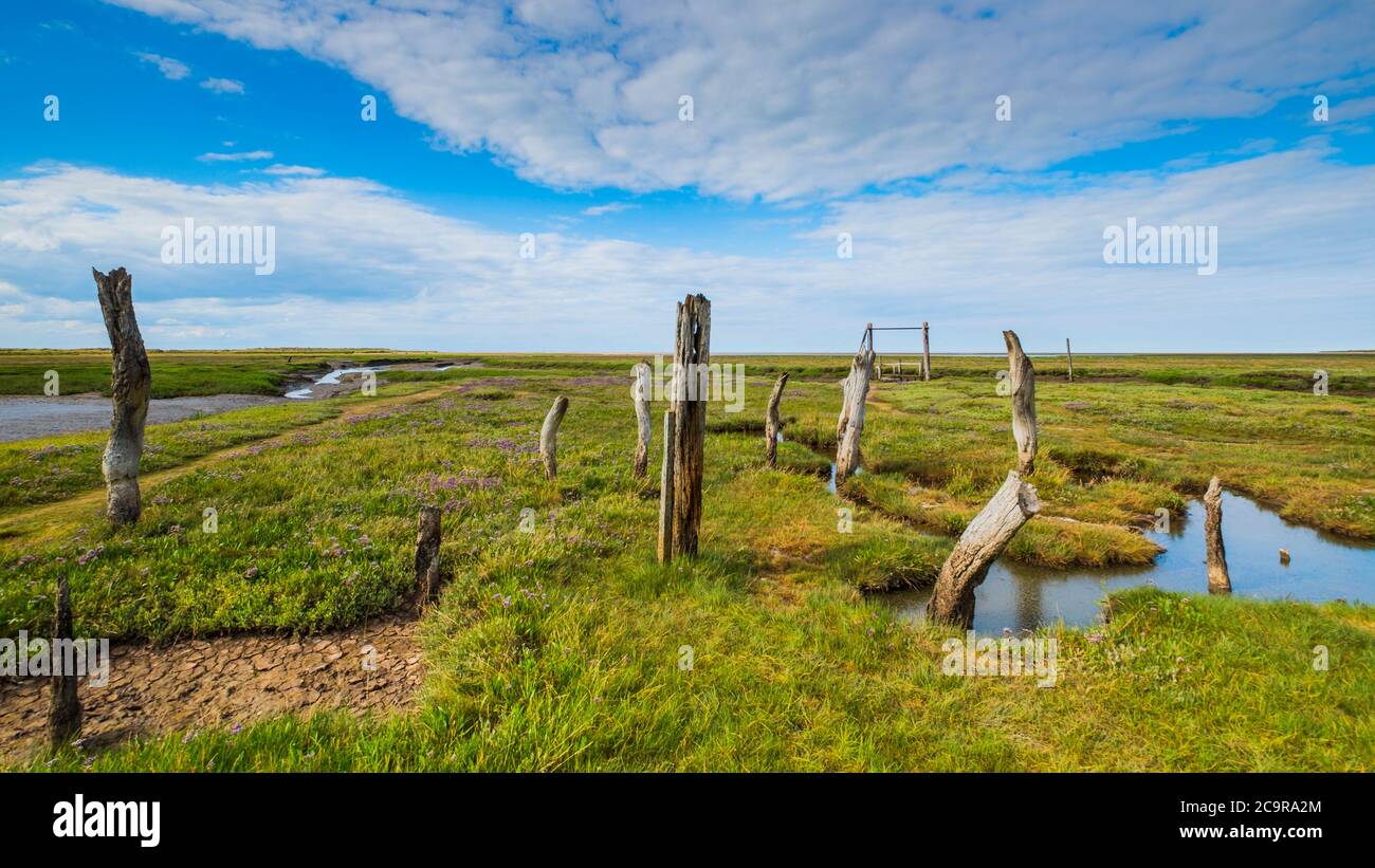 Norfolk coast thornham stumps hi-res stock photography and images - Alamy