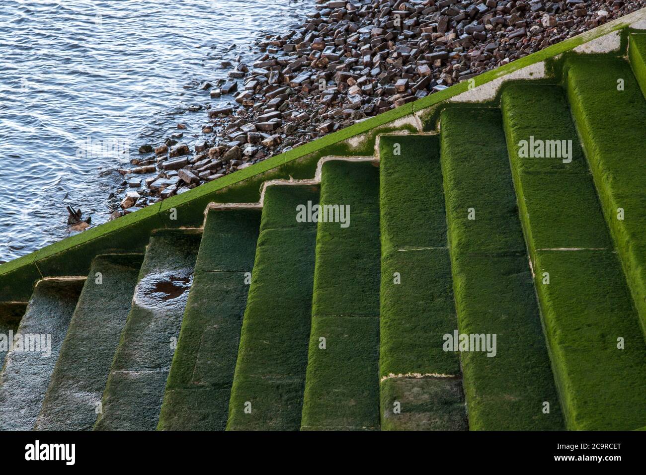 Green moss thames river hi-res stock photography and images - Alamy