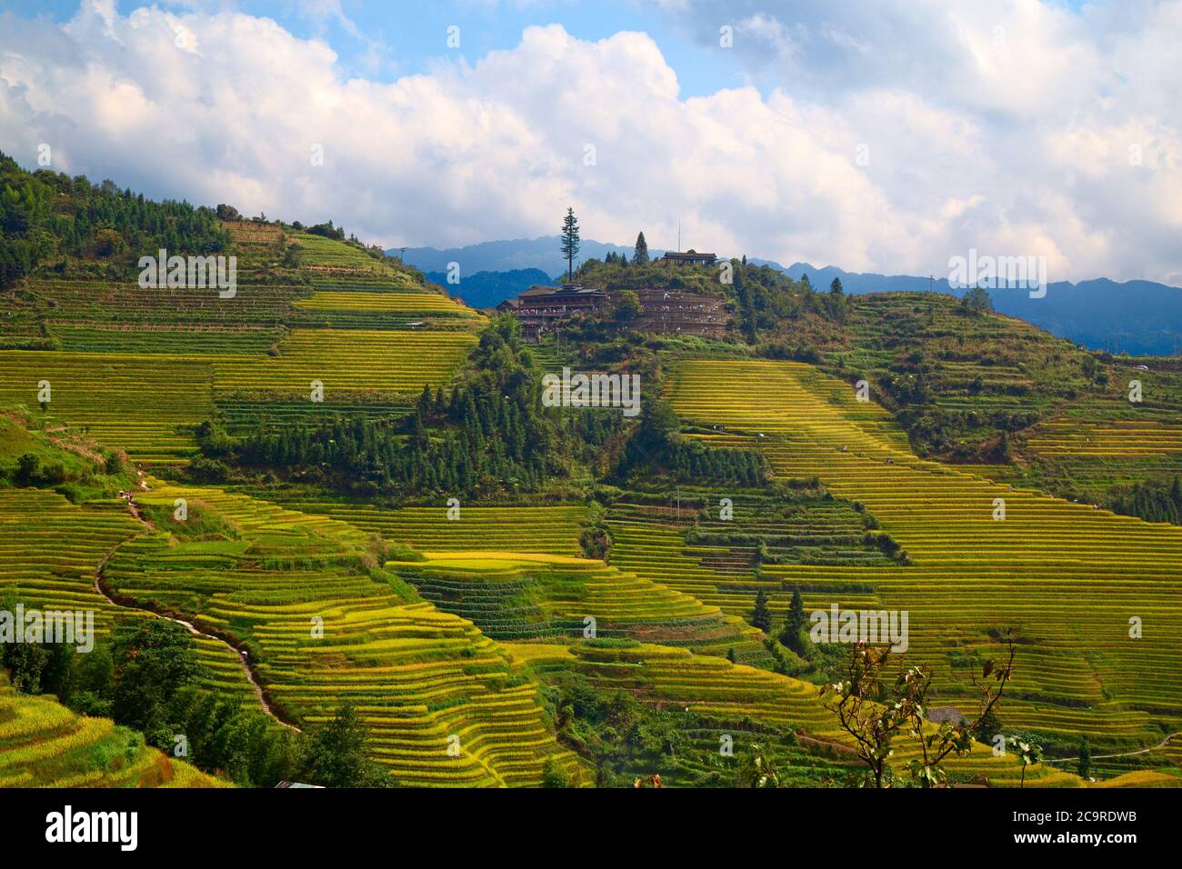 The Longsheng Rice Terraces(Dragon's Backbone) also known as Longji ...