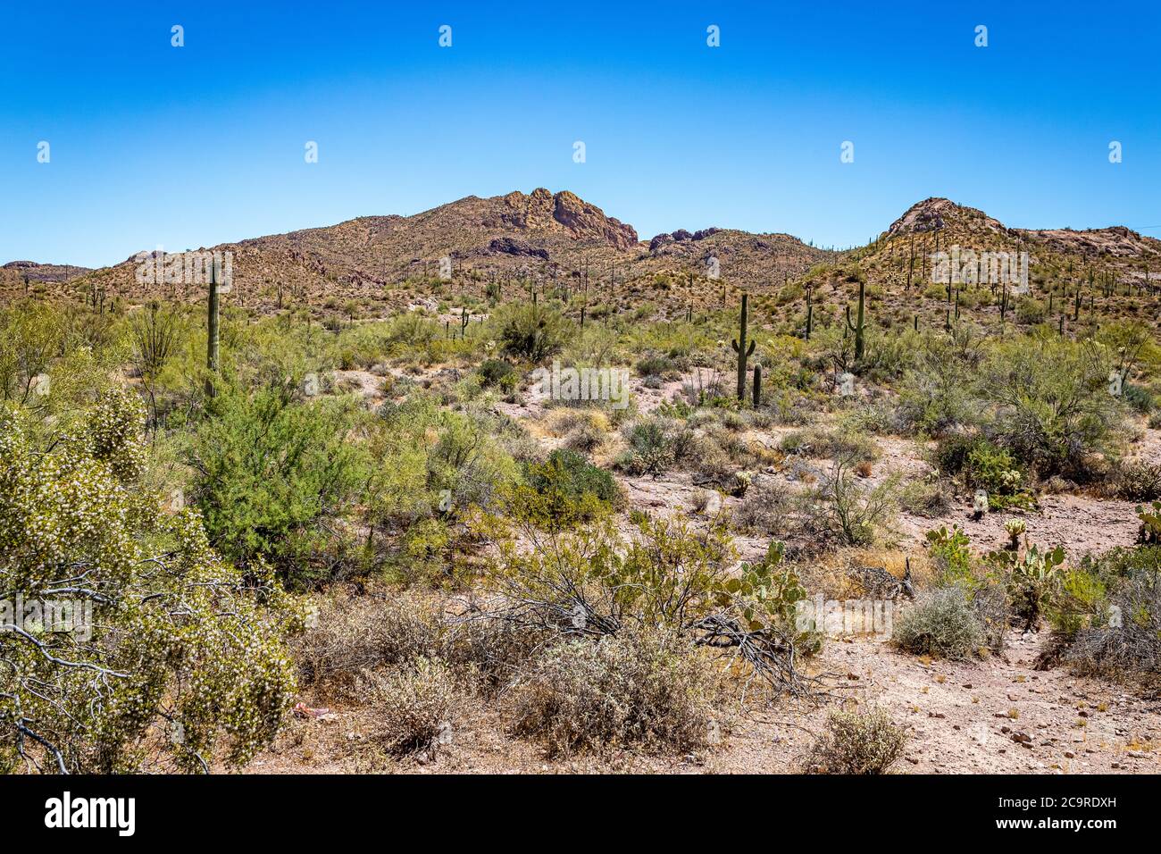 Desert views along Arizona State Rout 88, a former stagecoach route ...
