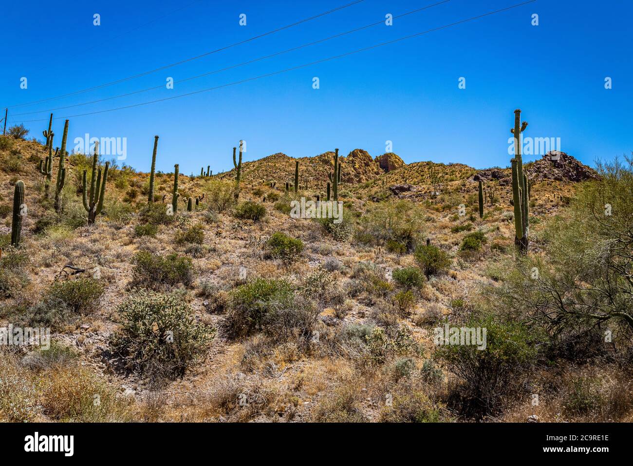 Desert views along Arizona State Rout 88, a former stagecoach route ...