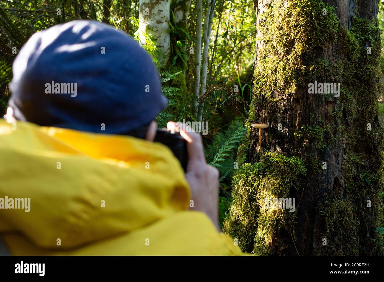 Blue beret hi-res stock photography and images - Alamy