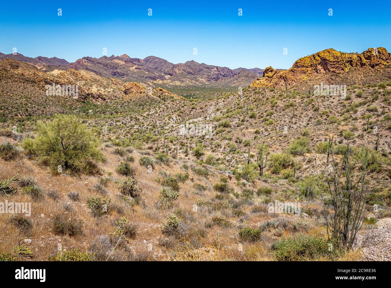 Desert views along Arizona State Rout 88, a former stagecoach route ...