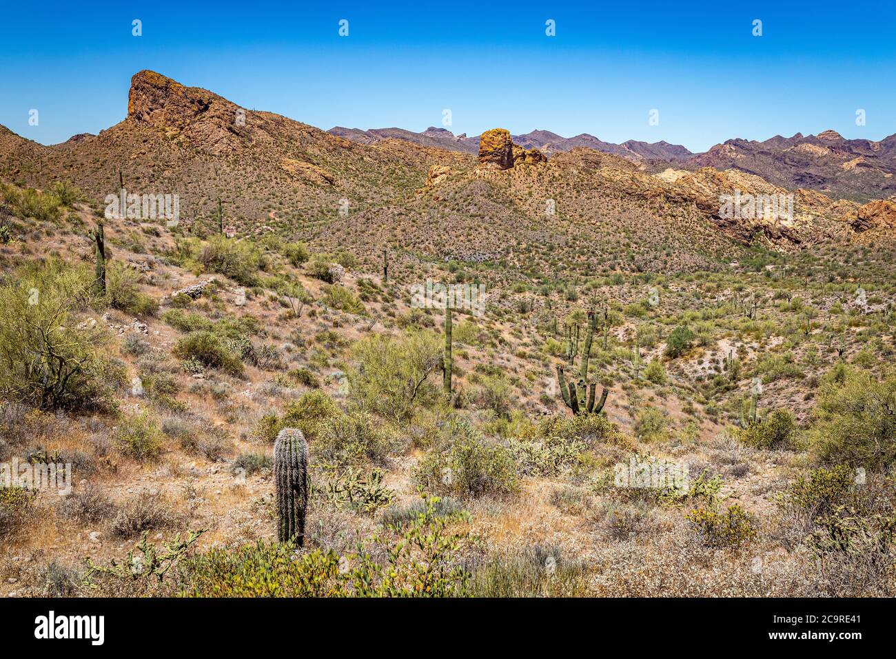 Desert views along Arizona State Rout 88, a former stagecoach route ...