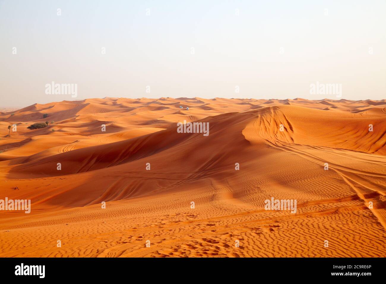 Red sand "Arabian desert" near Riyadh, Saudi Arabia Stock Photo - Alamy