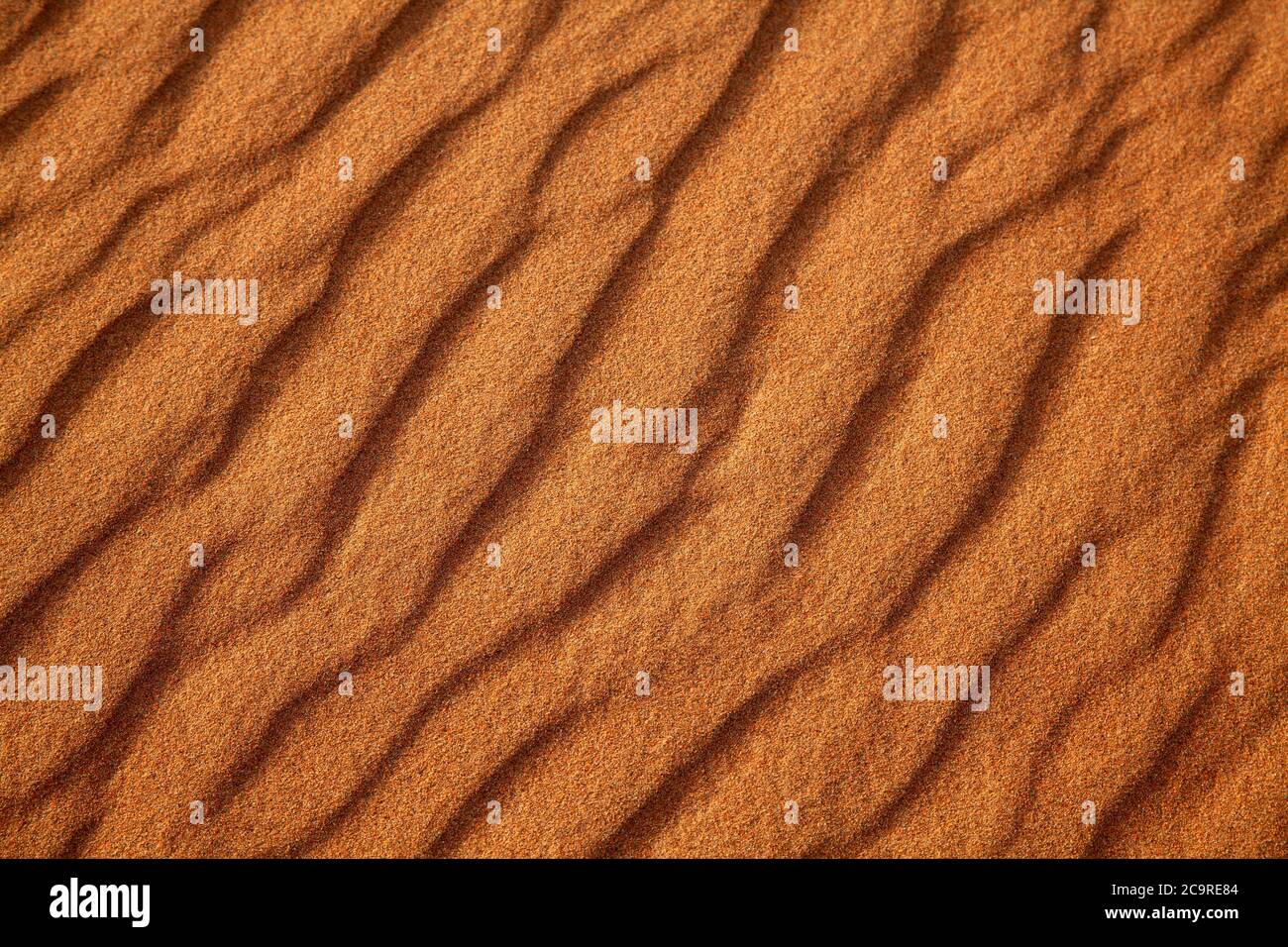 Red sand "Arabian desert" near Riyadh, Saudi Arabia Stock Photo - Alamy