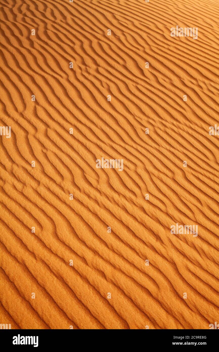 Red sand "Arabian desert" near Riyadh, Saudi Arabia Stock Photo - Alamy